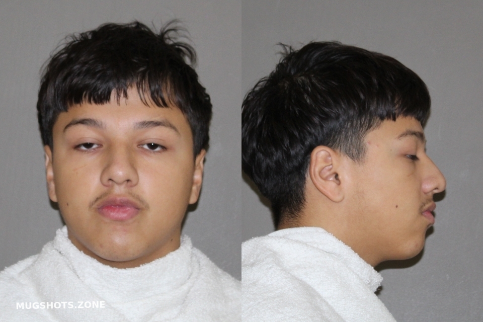 LANDEROS IVAN ADAIR 12/17/2024 - Denton County Mugshots Zone