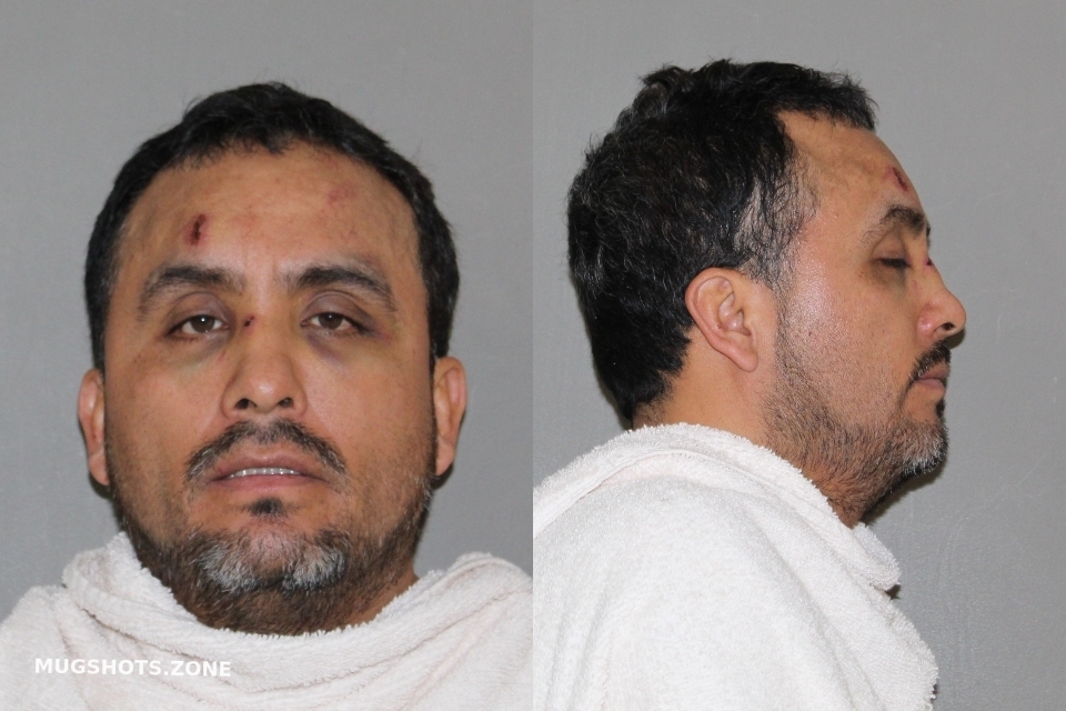 NEGRETE MARIO 12/29/2024 - Denton County Mugshots Zone
