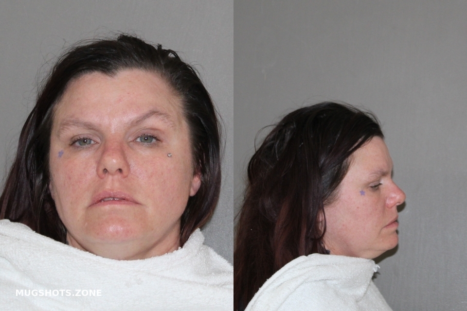 REAVIS JENNIFER GAIL 01/16/2025 - Denton County Mugshots Zone