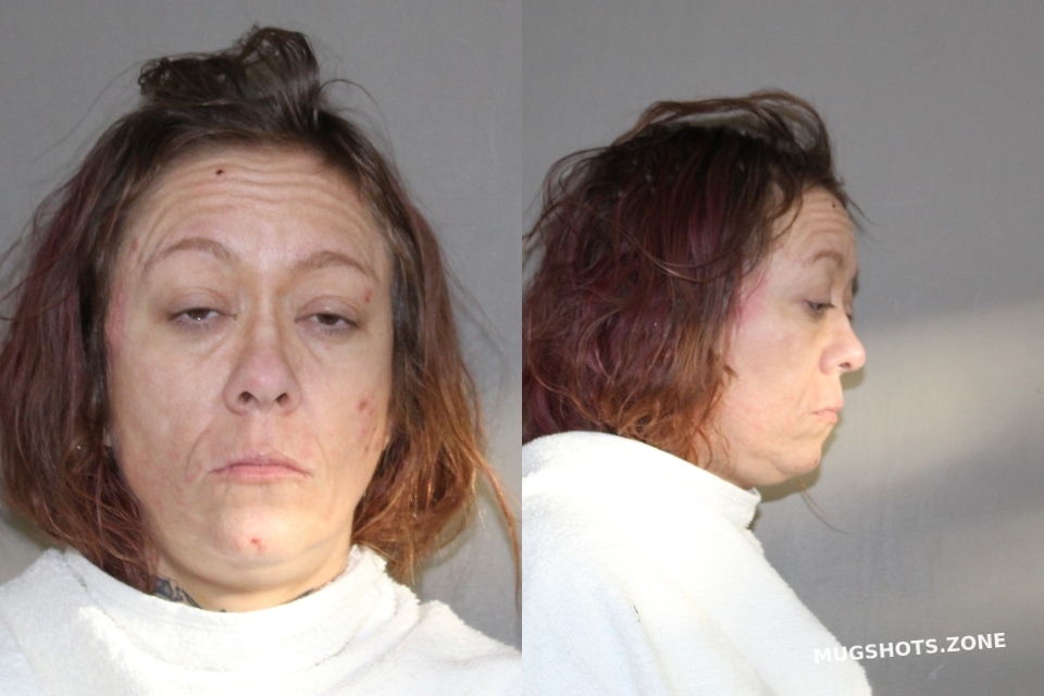 HARVEY RACHEL ANN 01/17/2025 - Denton County Mugshots Zone