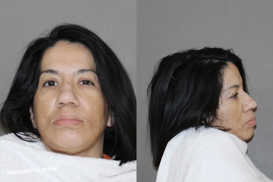 Mendoza Vanessa Marie 01 24 2025 Denton County Mugshots Zone