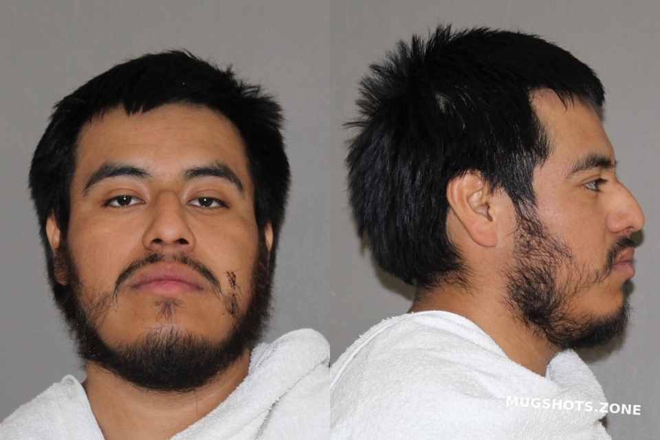 GOMEZ-ROMERO JULIO CESAR 01/31/2025 - Denton County Mugshots Zone