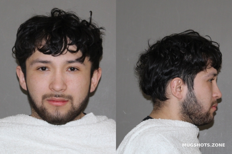 PLEITEZ LIZAMA KEVIN ALEXANDER 02/14/2025 - Denton County Mugshots Zone