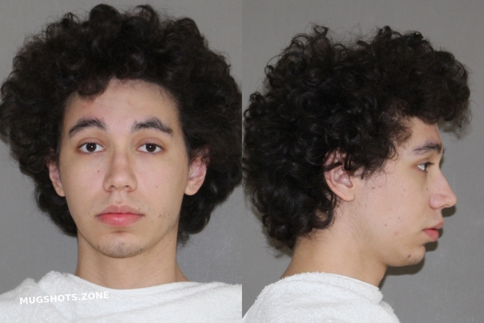 ROLFE GREGORY 02/16/2025 - Denton County Mugshots Zone