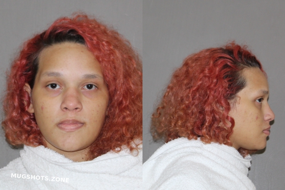 FEAGINS ANGELICA EDITH 02/19/2025 - Denton County Mugshots Zone