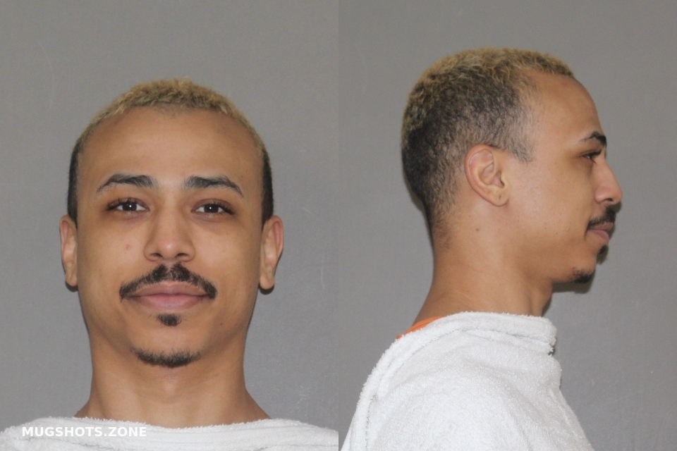BROWN JORDAN AMARI 02/25/2025 - Denton County Mugshots Zone