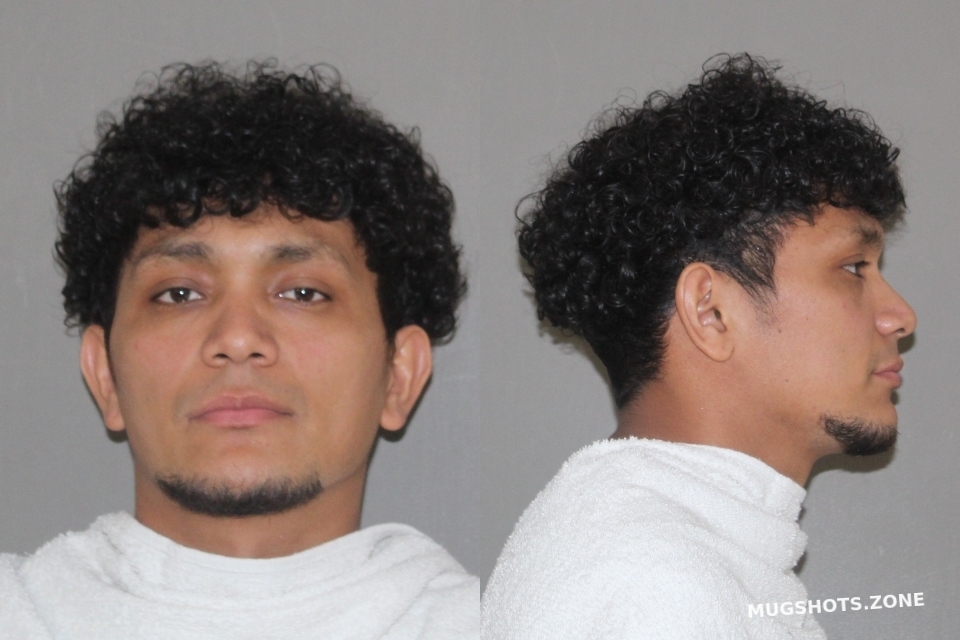 ALVARADO SORTO CARLOS ALEXIS 02/27/2025 - Denton County Mugshots Zone