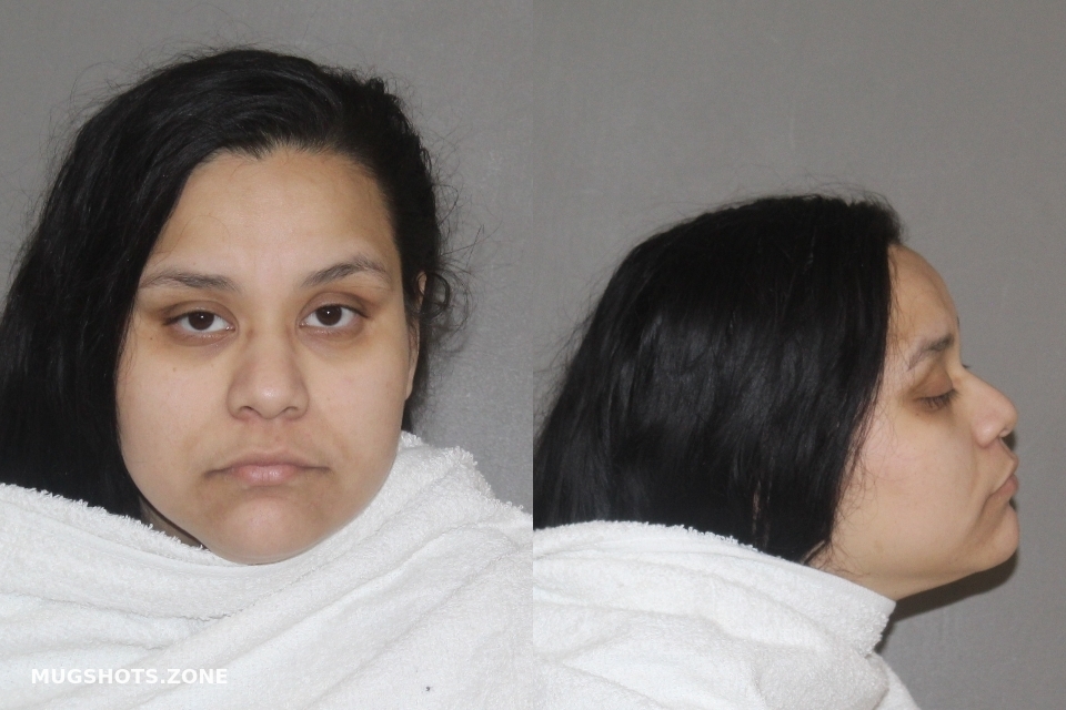 VELA STEPHANIE RENEA 03/07/2025 - Denton County Mugshots Zone