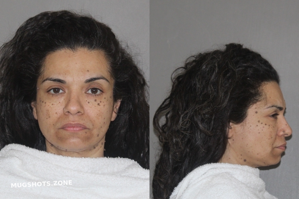 ROBLES SALLY 03/11/2025 - Denton County Mugshots Zone