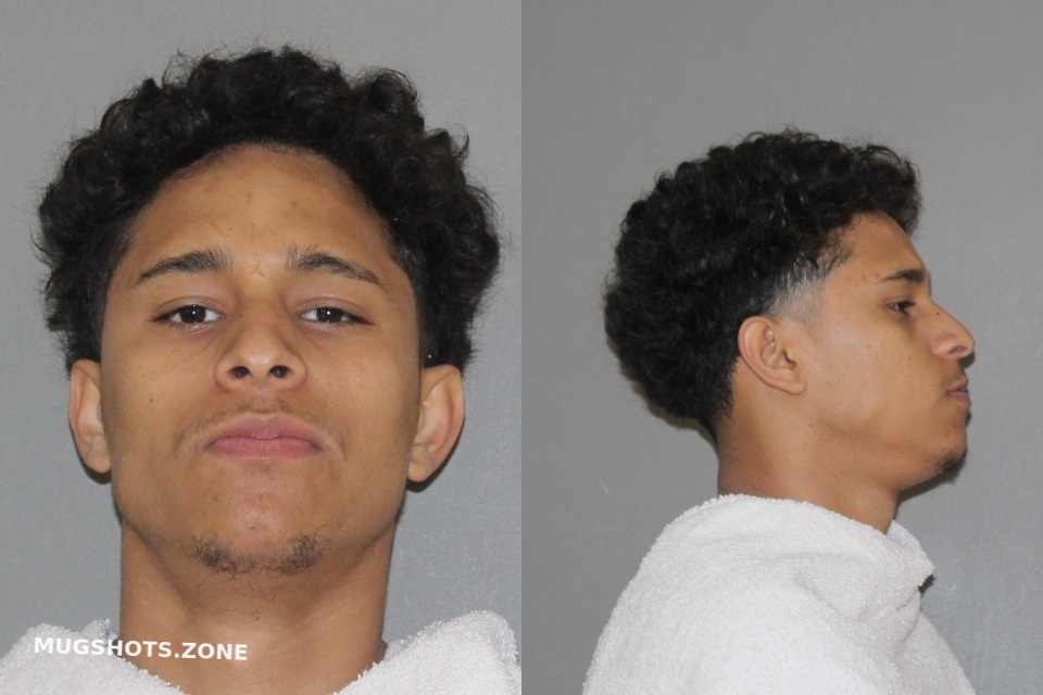 FUENTES GEREMY 03/29/2025 - Denton County Mugshots Zone