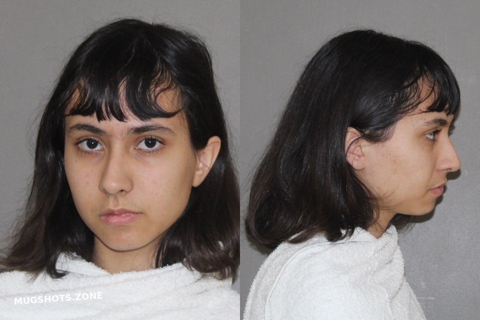 HUERECA-PERDOMO ANA PAULA 04/09/2025 - Denton County Mugshots Zone