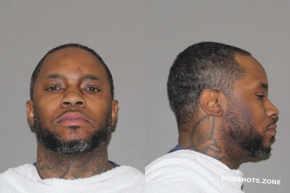 HAMILTON BRYAN ASHLEY 04/10/2025 - Denton County Mugshots Zone