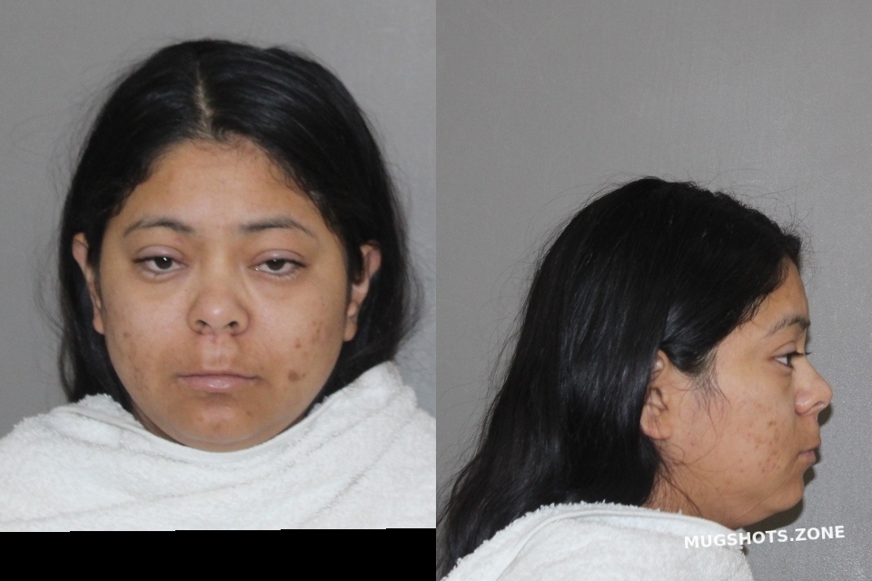 CARLA REINA RODRIGUEZ 04/12/2025 - Denton County Mugshots Zone