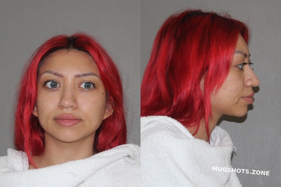 ARGUETA ERICA CHRISTINE 04/21/2025 - Denton County Mugshots Zone