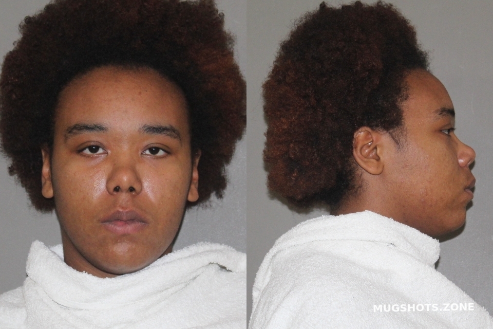 PERRY NIA MONAE 04/22/2025 - Denton County Mugshots Zone