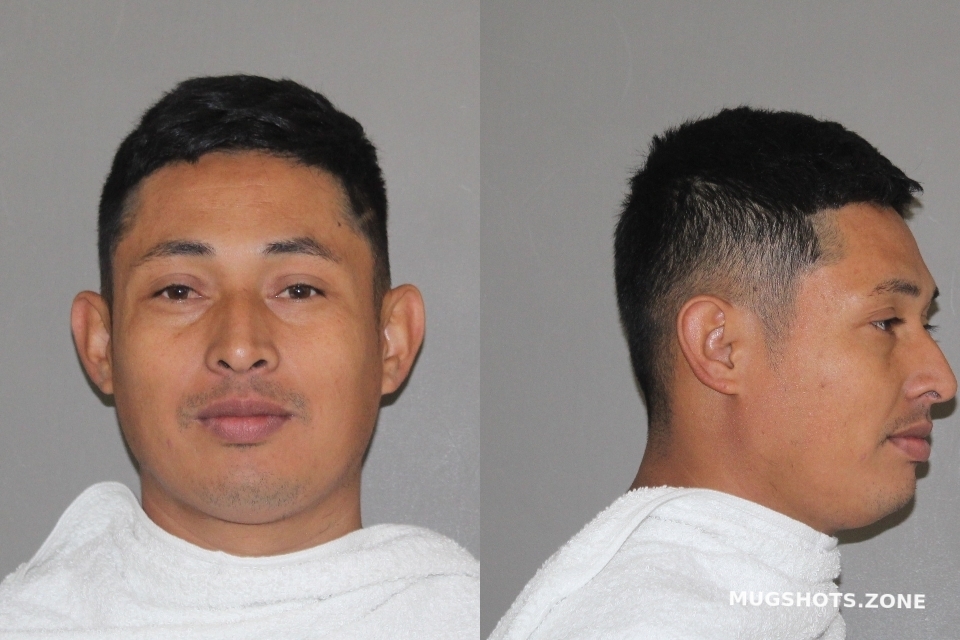 MOYA-REYES ELVIS 04/29/2025 - Denton County Mugshots Zone