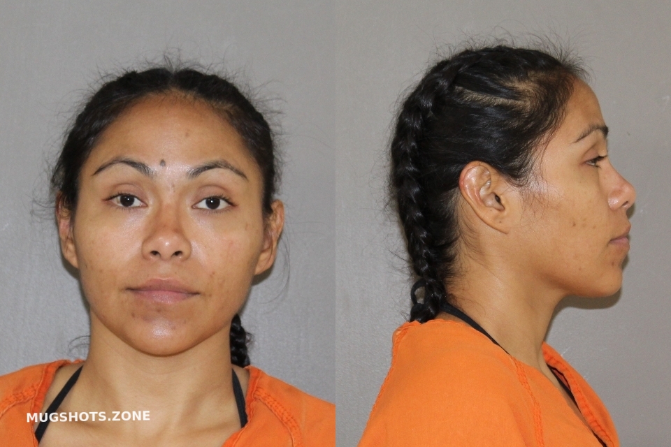 STAGGS ELISA DIANE 07/10/2025 - Denton County Mugshots Zone