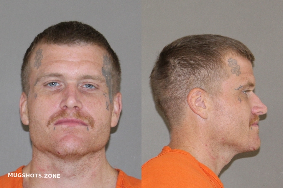 HAMILTON MICHAEL ROSS 08/15/2025 - Denton County Mugshots Zone