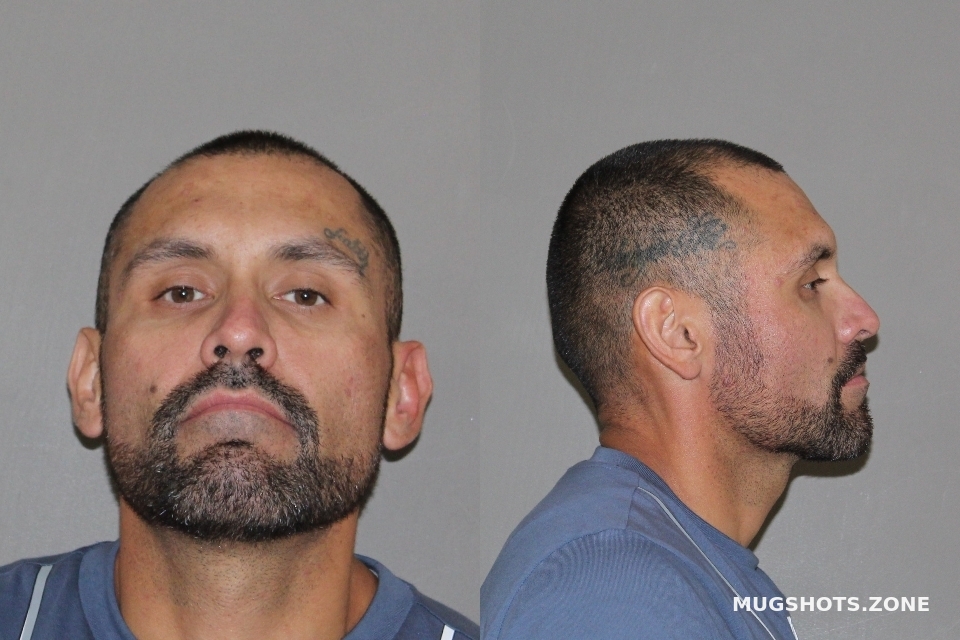 F REY TIM DOMINIC 09/19/2025 - Denton County Mugshots Zone