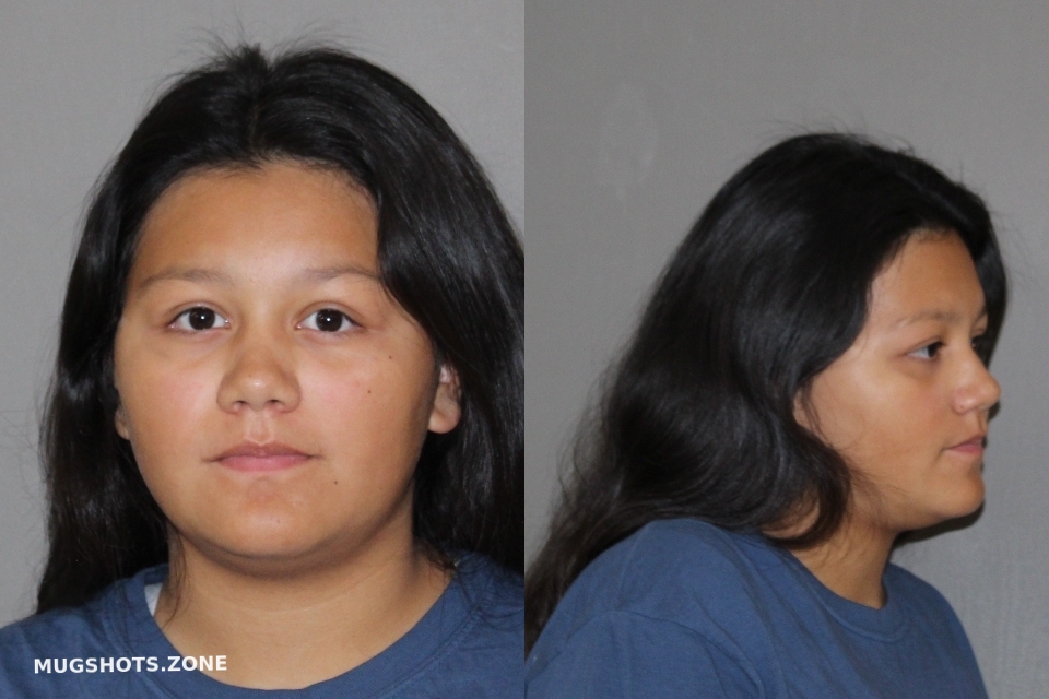 HENKEL SARA 10/16/2025 - Denton County Mugshots Zone