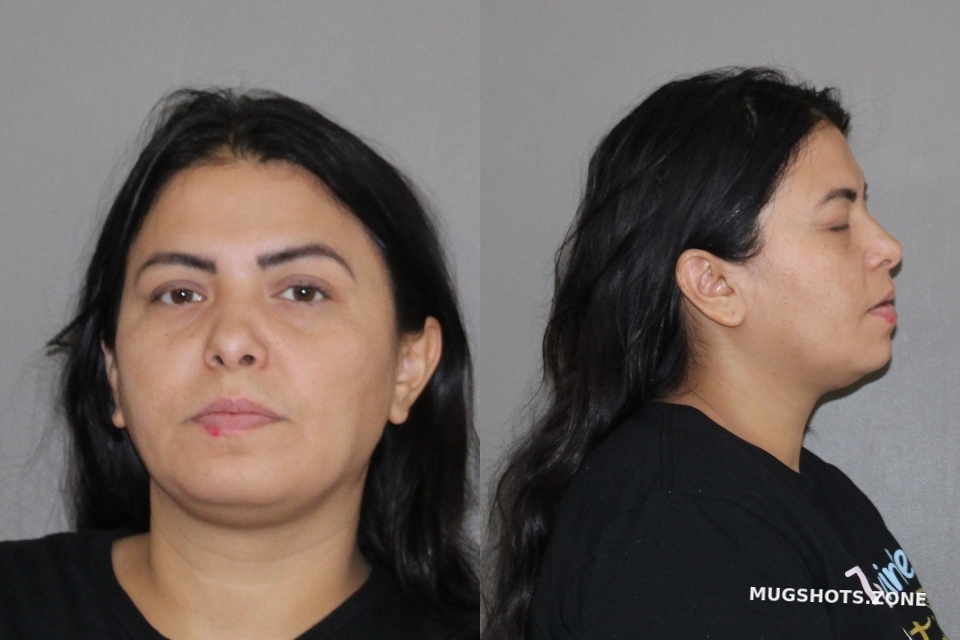 MEJIA CRYSTAL 11/17/2025 - Denton County Mugshots Zone