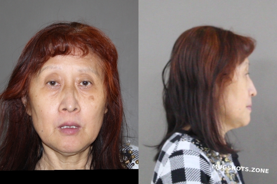 LU PING 12/02/2025 - Denton County Mugshots Zone