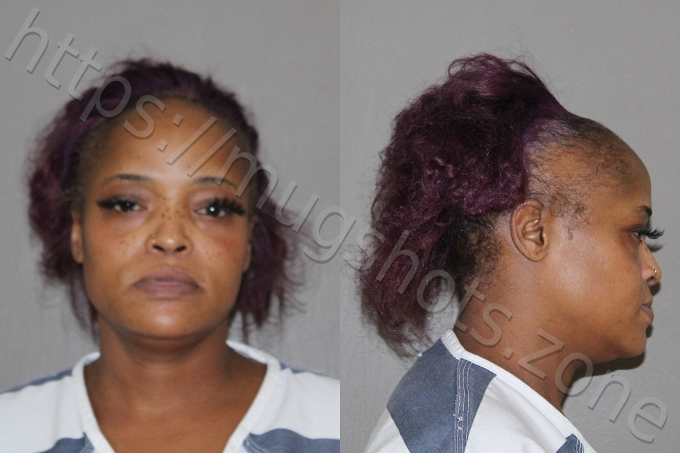 SMITH GINELLE 03/10/2026 - Denton County Mugshots Zone