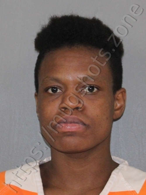 MORGAN JAYNA SHAYNA 03/12/2026 - Denton County Mugshots Zone