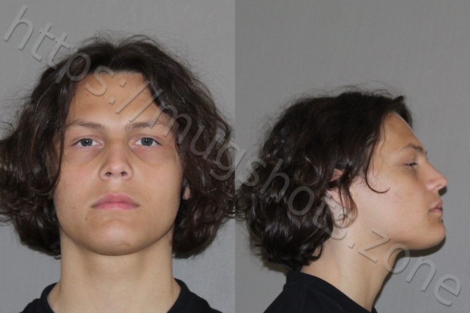 HEWITT SEBASTIAN GUY 03/16/2026 - Denton County Mugshots Zone