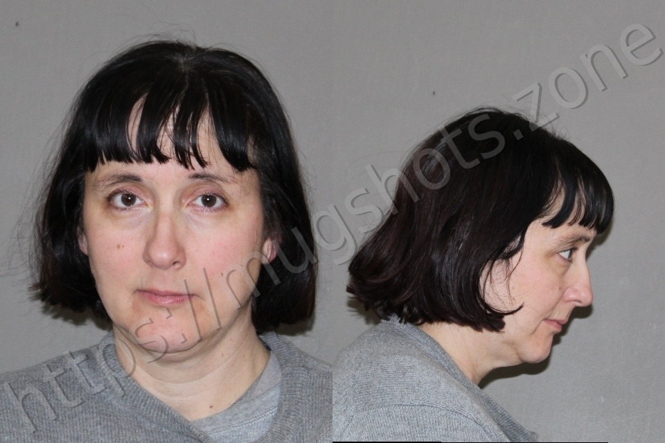 MORELAND PAMELA SUE 03/18/2026 - Denton County Mugshots Zone