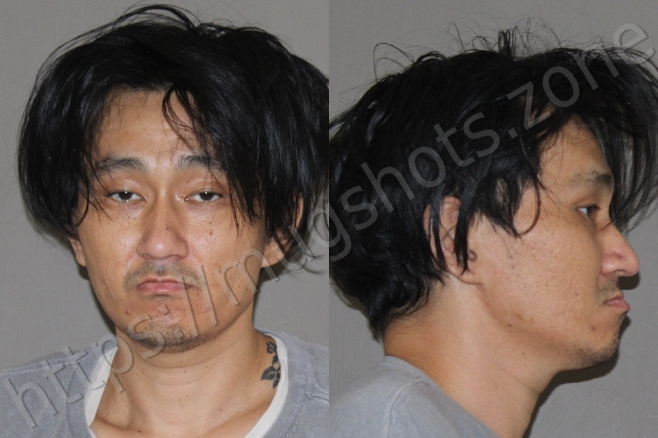 KIM DENNY 03/21/2026 - Denton County Mugshots Zone