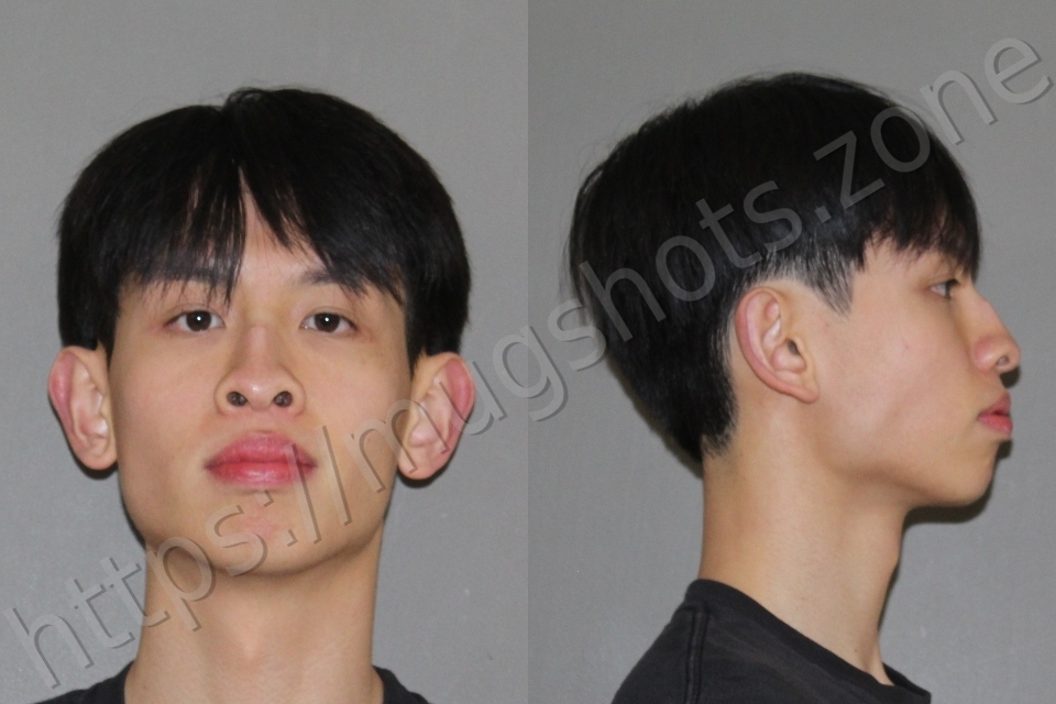 VU KENNY HOANG 03/22/2026 - Denton County Mugshots Zone