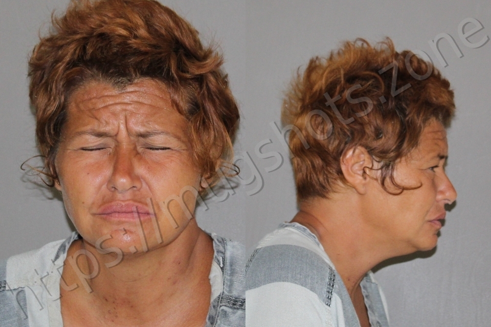 SOLIS CHRISTI LYNN 03/24/2026 - Denton County Mugshots Zone