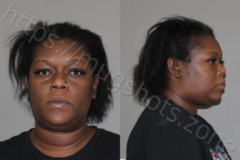 BROCK TYNETTA KWANTE 04/01/2026 - Denton County Mugshots Zone