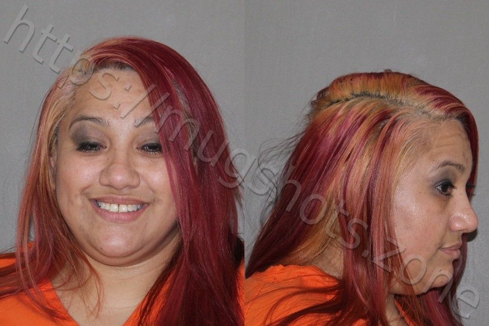 FELIX JENNIFER MORALEZ 04/06/2026 - Denton County Mugshots Zone