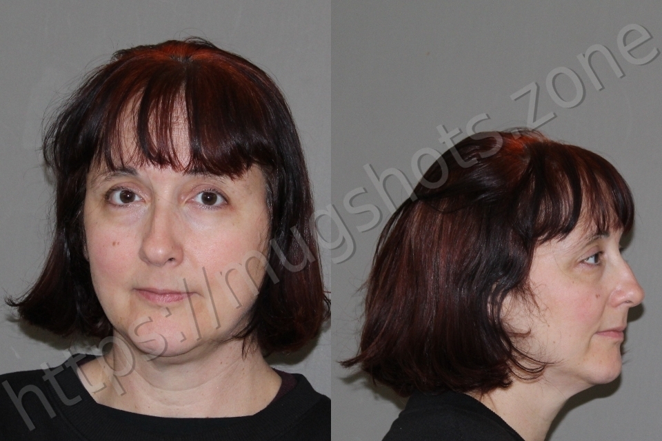 MORELAND PAMELA SUE 04/15/2026 - Denton County Mugshots Zone