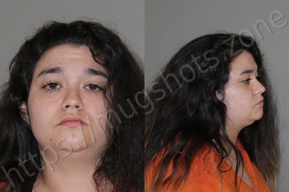 REDFEARN BREANNA NOEL 04/17/2026 - Denton County Mugshots Zone