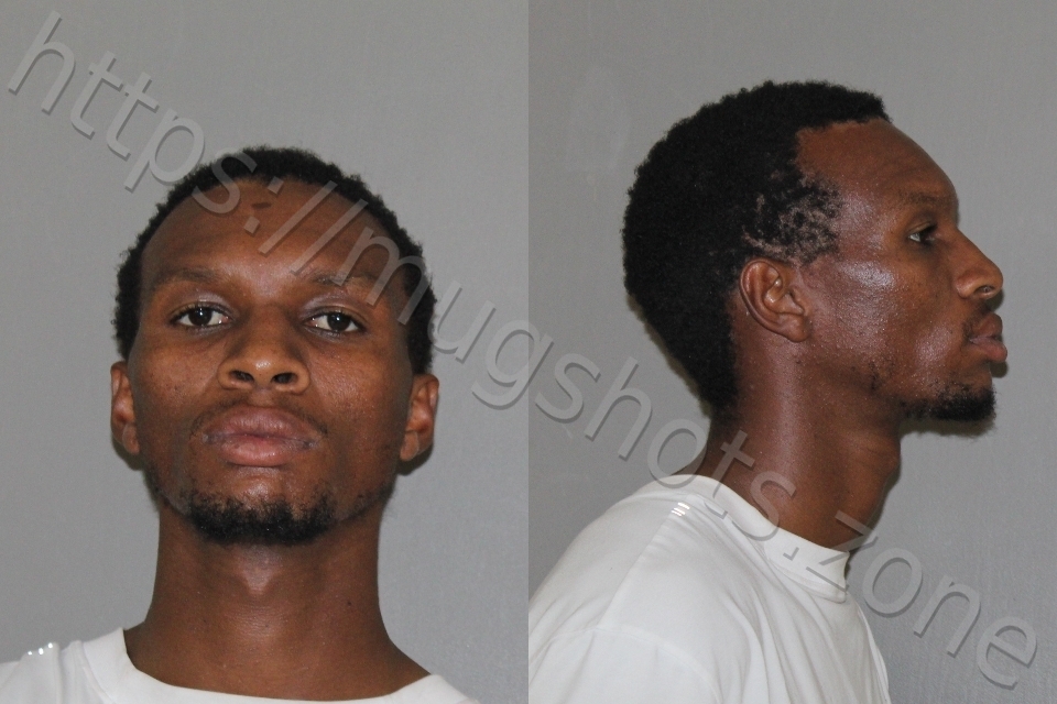 TARMO JOSEPH BENEDICT 04/24/2026 - Denton County Mugshots Zone
