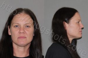 RITTER SHAWNA LANE 05/14/2026 - Denton County Mugshots Zone