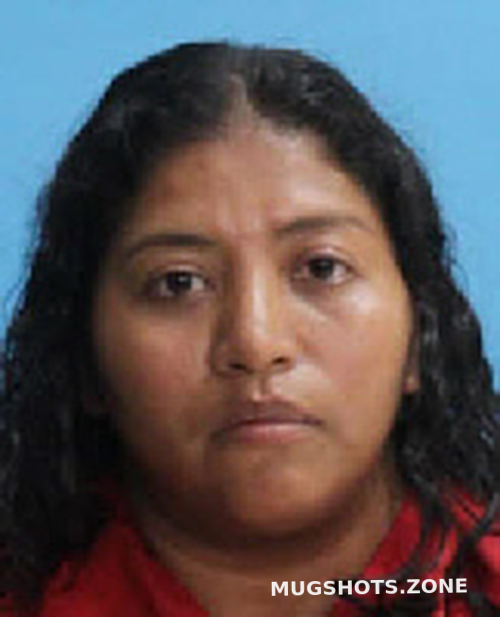 SALAZAR VERONICA 02/15/2021 - Desoto County Mugshots Zone