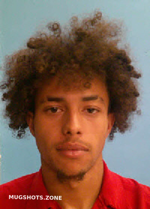 HARMON KALEB LEE 01/13/2025 - Desoto County Mugshots Zone