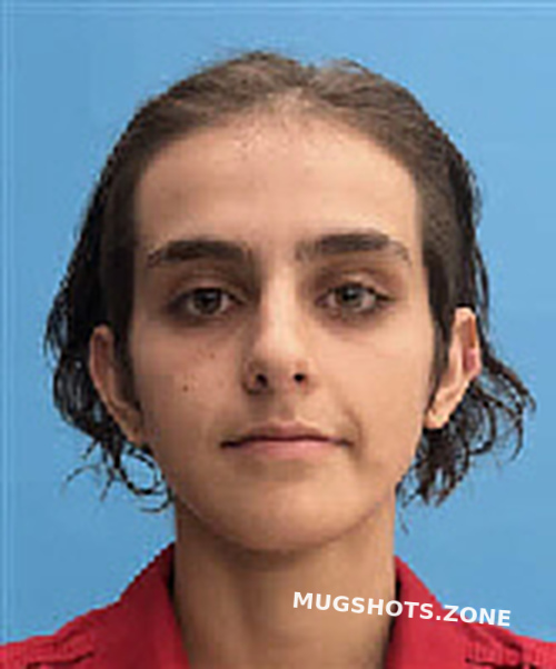 BROWN REBECCA LYNN 02/10/2025 - Desoto County Mugshots Zone