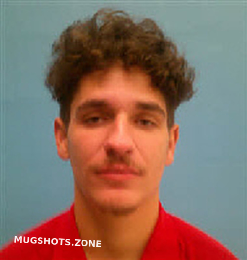 AREVALO ALEX 06/03/2025 - Desoto County Mugshots Zone