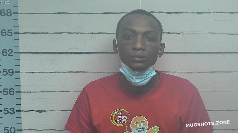 MITCHELL DOMINIC LAVAIL 01/04/2021 - Desoto County Mugshots Zone