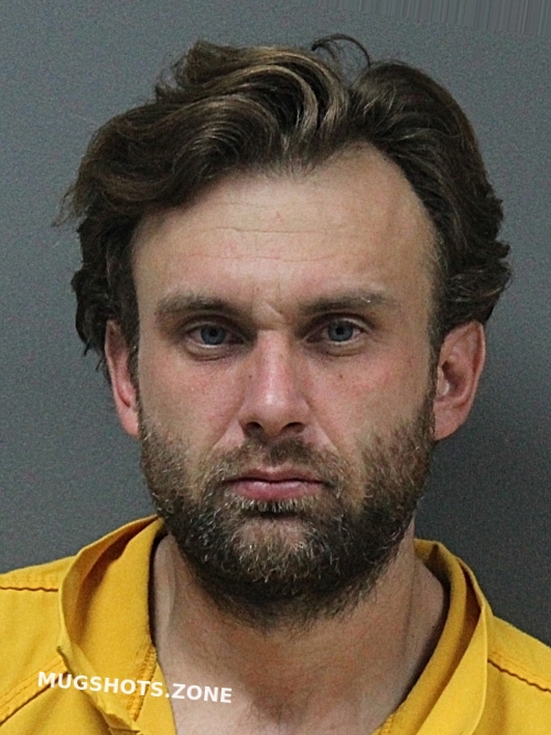 BELL BRADLEY SHANON 01/21/2021 - Desoto County Mugshots Zone