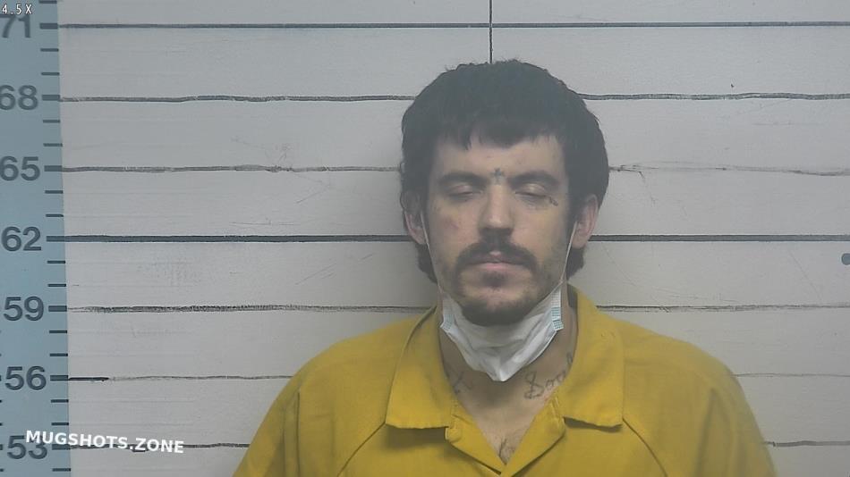 DICKEY BRANDON L 02/22/2021 - Desoto County Mugshots Zone