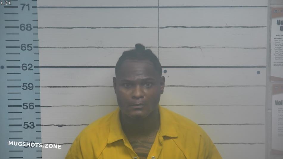 NATHAN SHELDON LEE 03/25/2021 - Desoto County Mugshots Zone