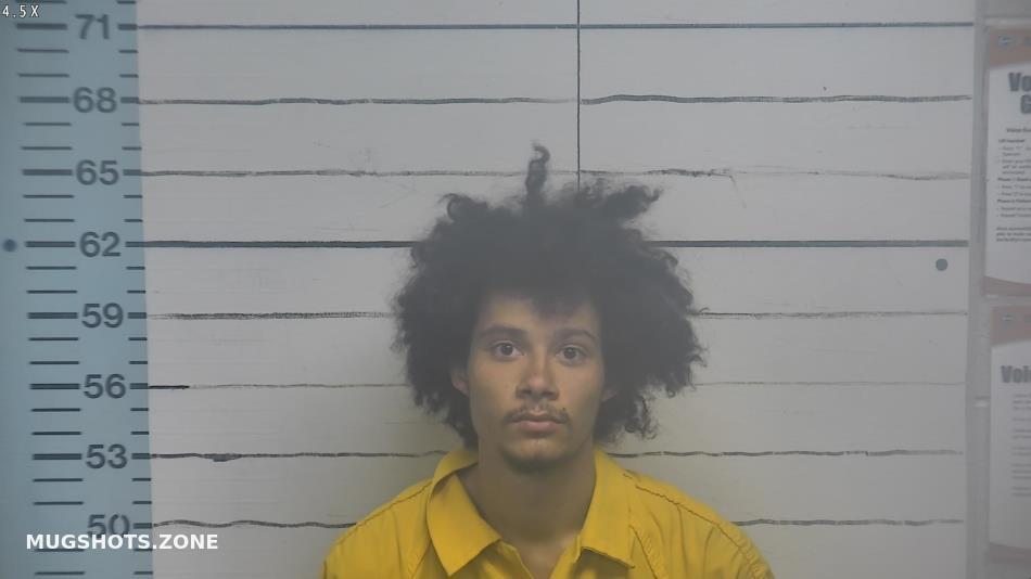 MCCALMAN KEVIN ANDREW 06/02/2021 - Desoto County Mugshots Zone