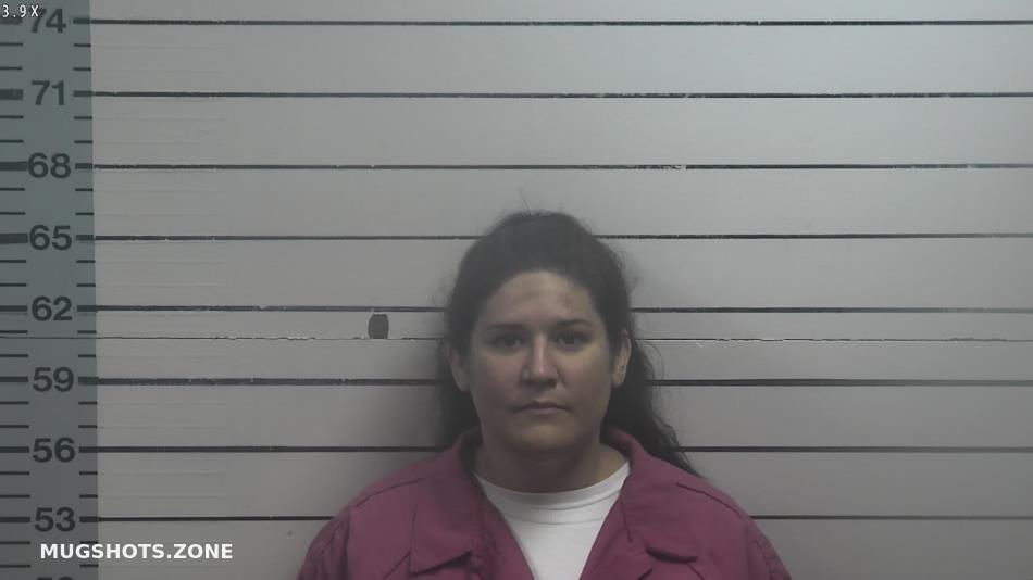 Pilgrim Heather Renee 06 04 2021 Desoto County Mugshots Zone
