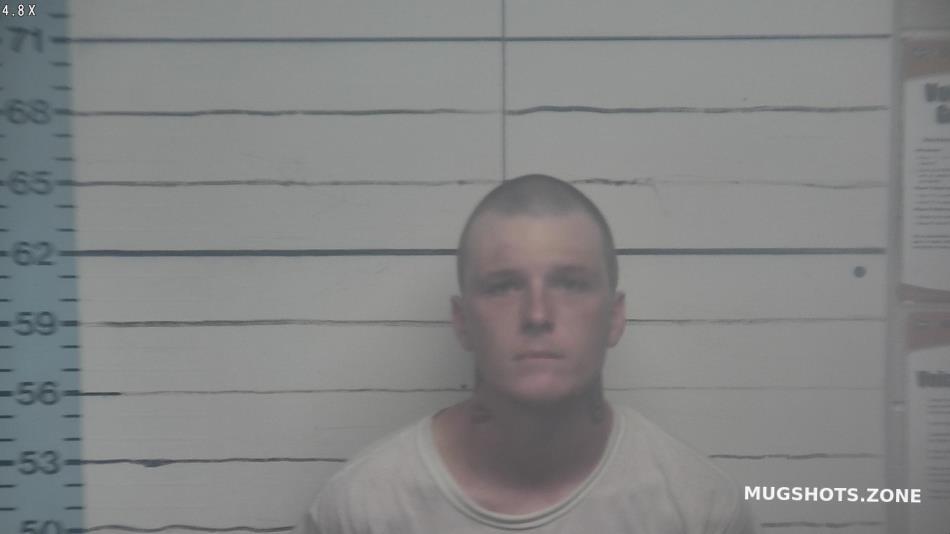 RHOADES TAYLOR DAVID 07/16/2021 - Desoto County Mugshots Zone